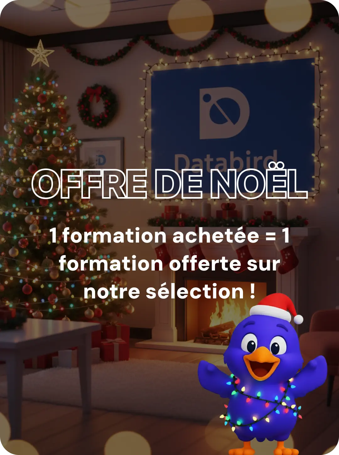 Guide complet sur les variables Python - DataBird